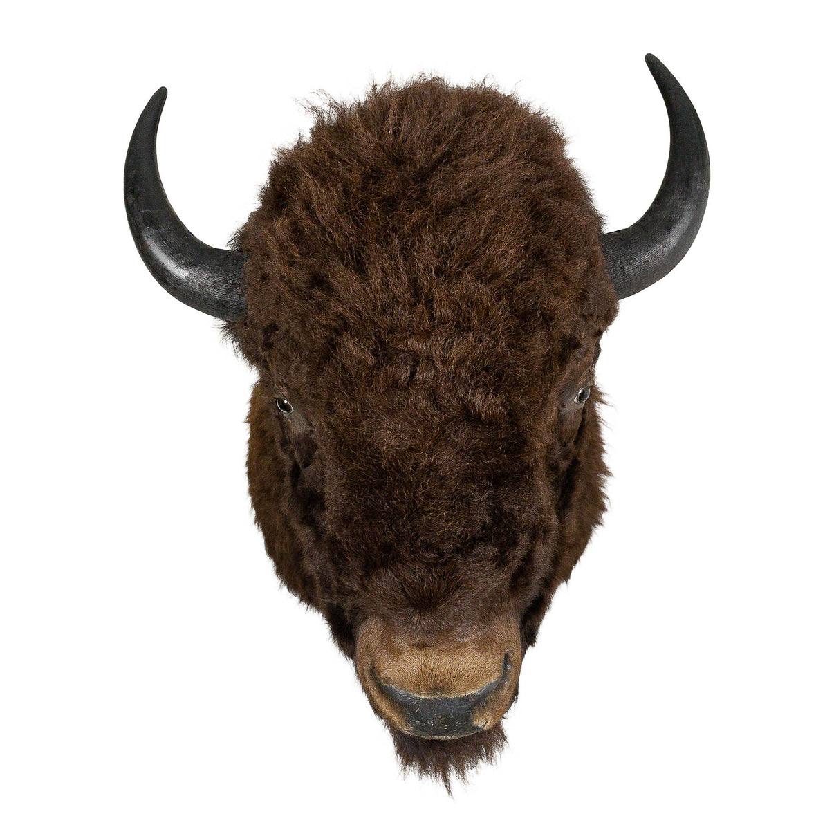 Bison Shoulder Mount - Grade World Class - Item #: 1195 – Taxidermy ...